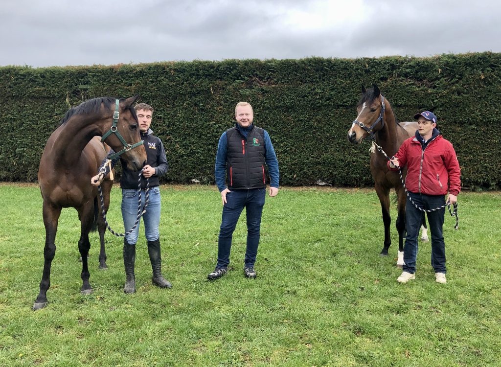 Our Horses – Robin Hood Racing